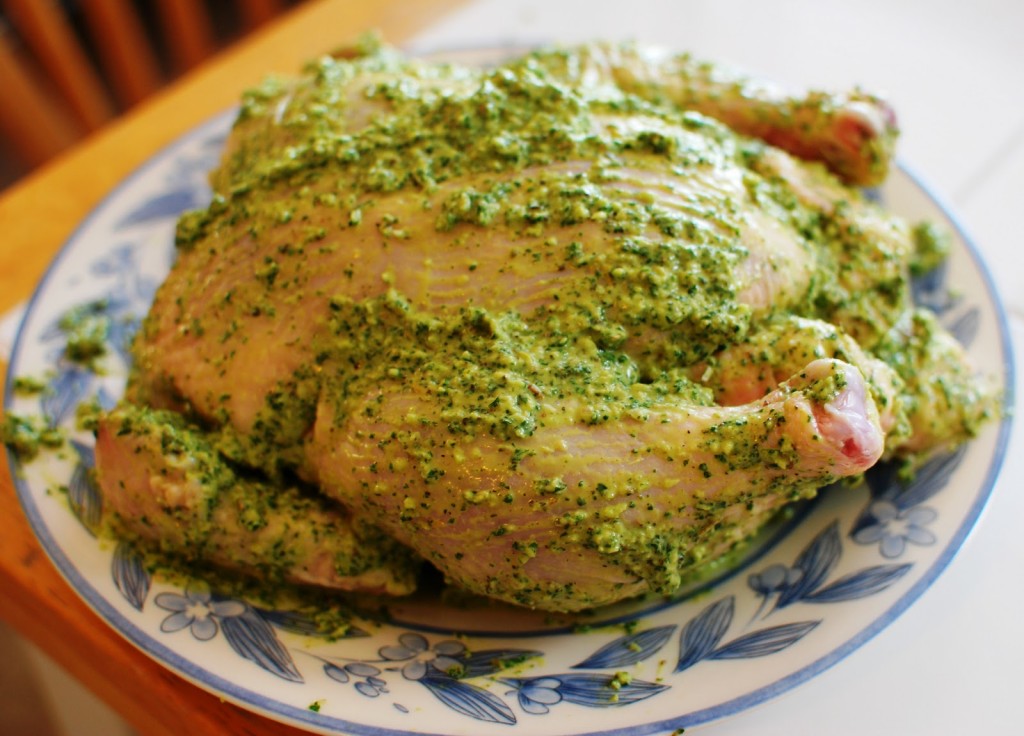 Pulë e marinuar në zgarë - Receta Kuzhine